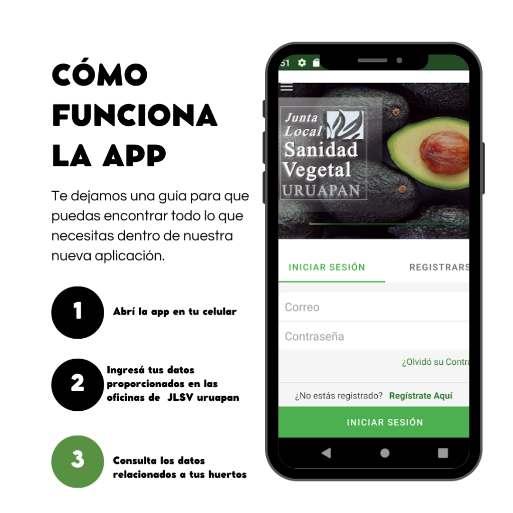 Agrotrace Productores – Junta Local De Sanidad Vegetal Uruapan